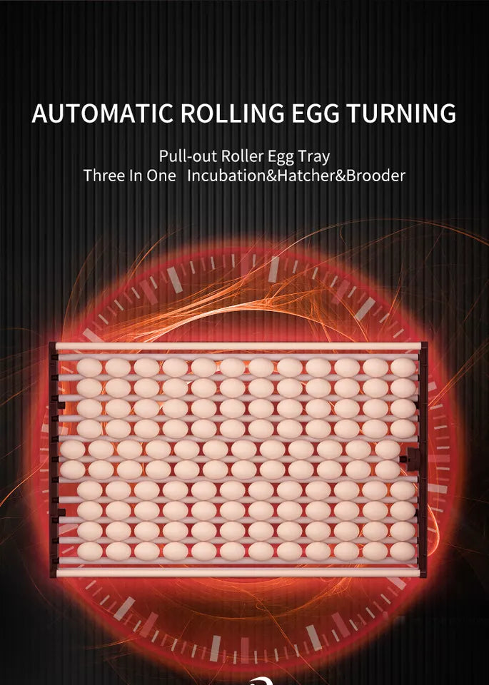 Advanced 1000-Egg Incubator - Perfect for Both Setting and Hatching ...