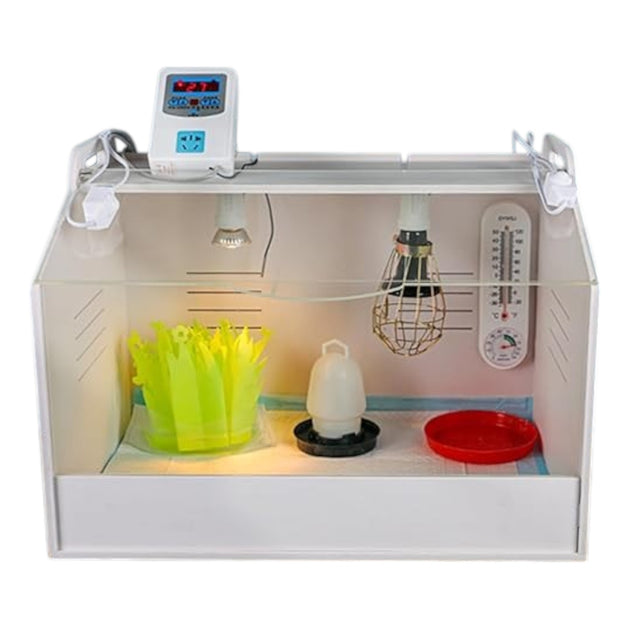 Delta Incubators Brooder – Large | Delta Incubators
