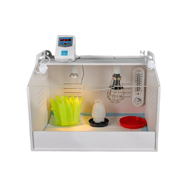 Delta Incubators Brooder – Small | Delta Incubators